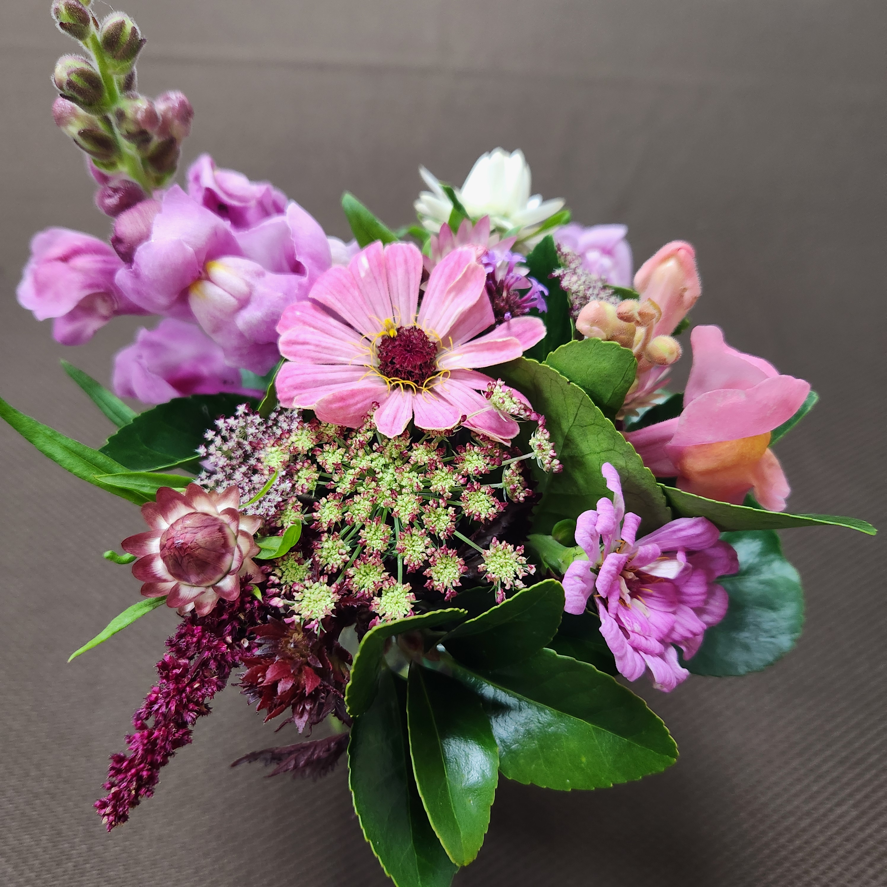 Final Flower Power Friday of 2025 – Flower Power